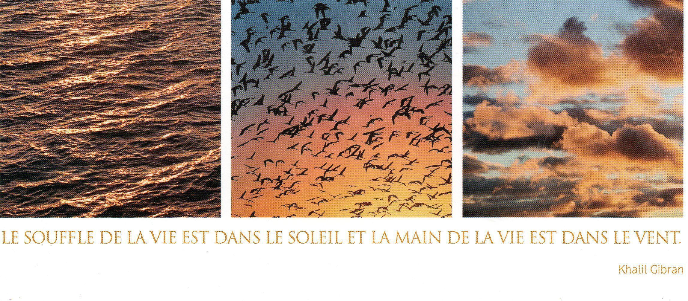 cartes que j aime - Page 6